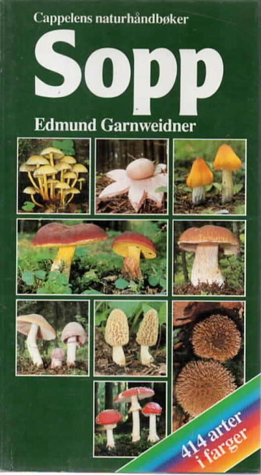 Sopp – 414 i farger